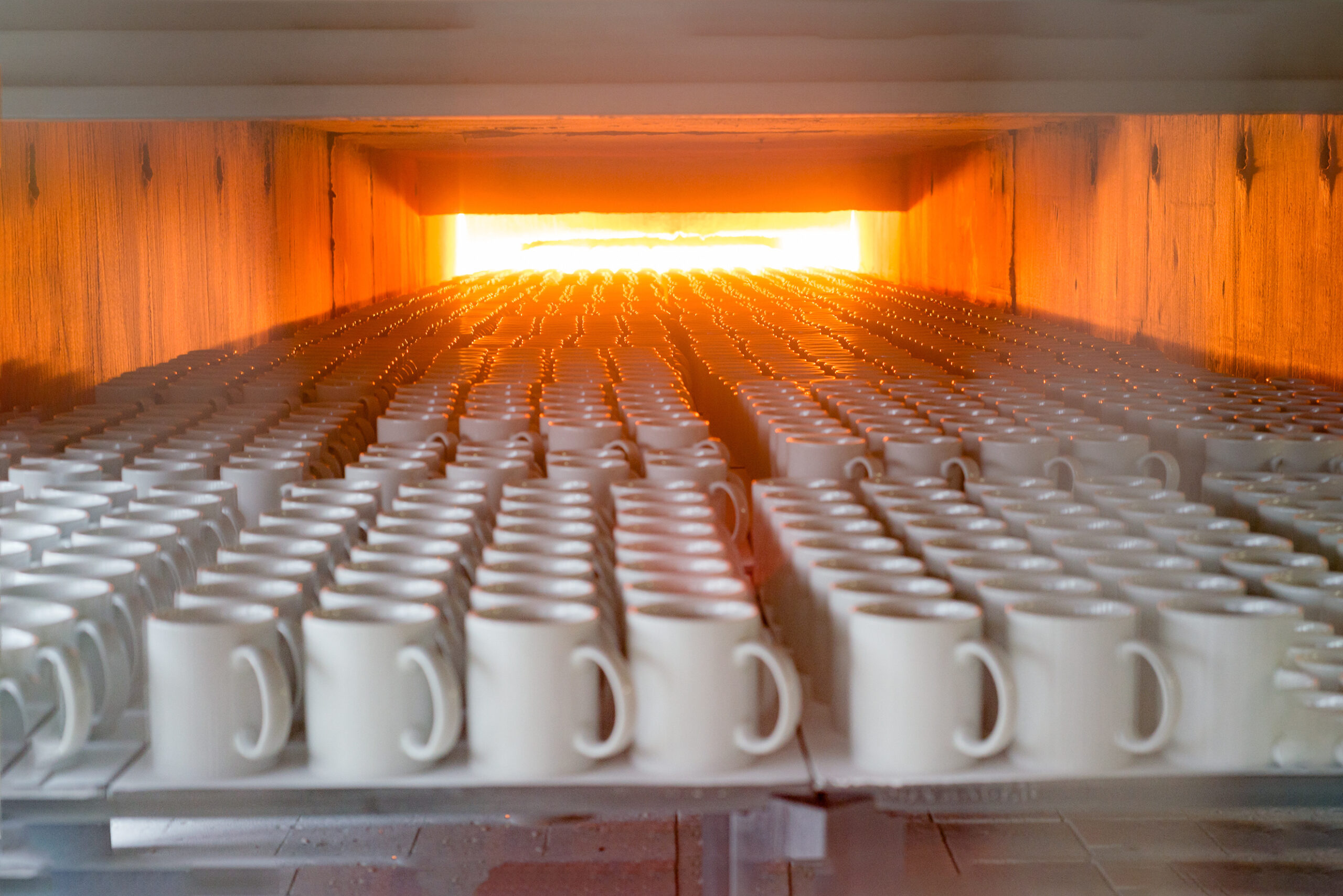 Our Services - N-Gen